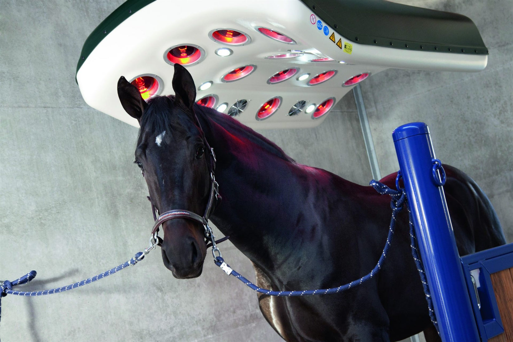 Q-Line Mercurr Solarium – Stable88